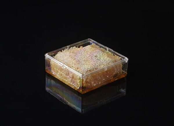 Honeycomb Containers - Storing Your Sweet Treats | Pioneer Plastics