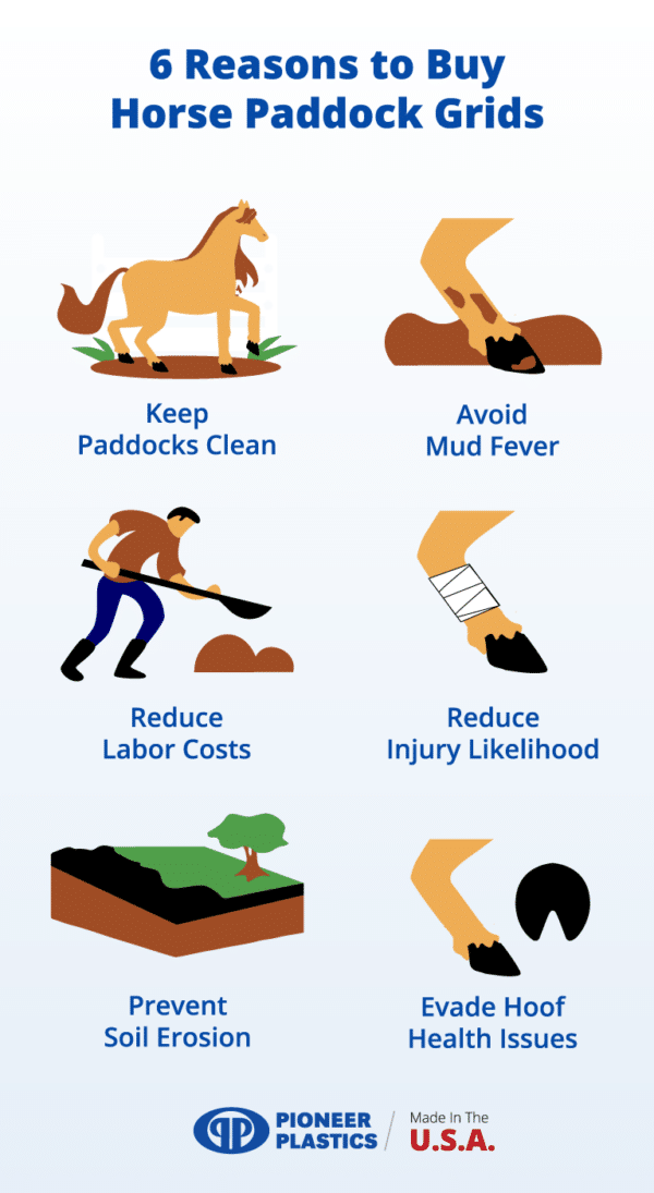 6 Reasons Smart Stable Owners Install Horse Paddock Grids