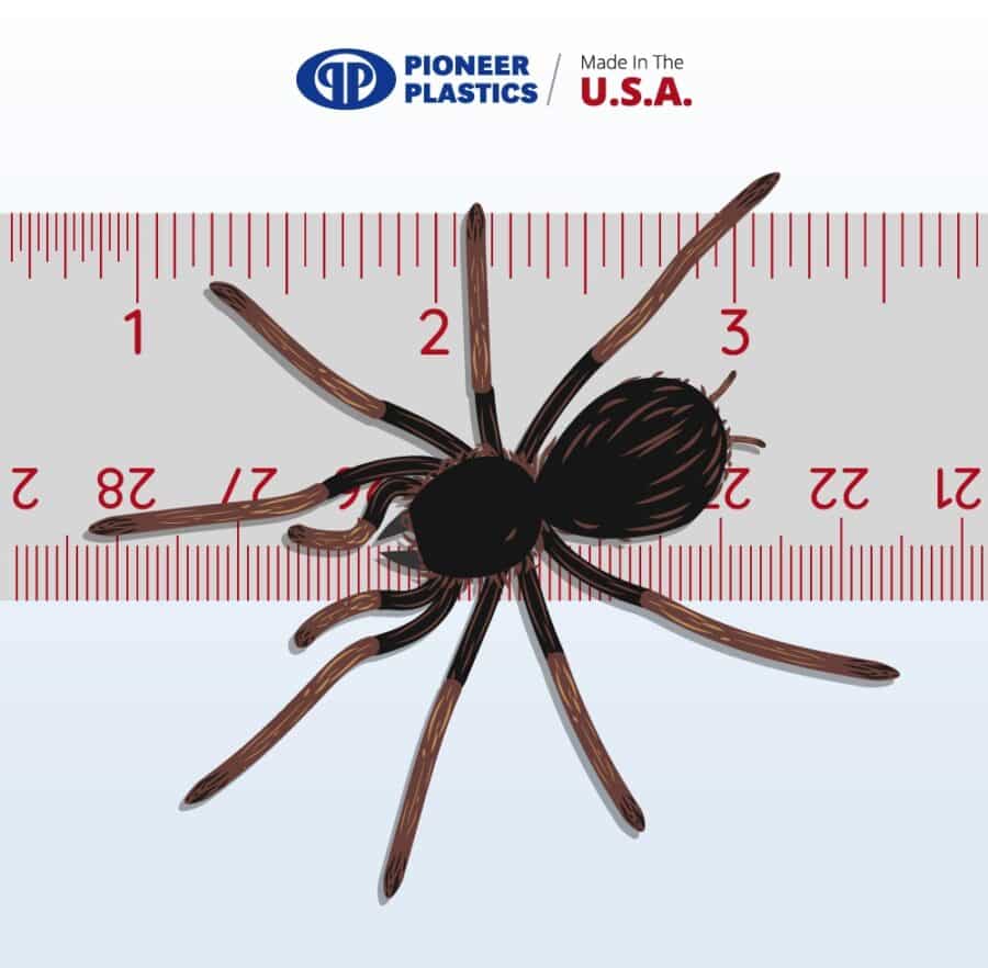 Choosing the Perfect Tarantula Enclosure—6 Considerations