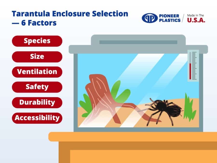 Choosing the Perfect Tarantula Enclosure—6 Considerations