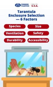 Choosing the Perfect Tarantula Enclosure—6 Considerations