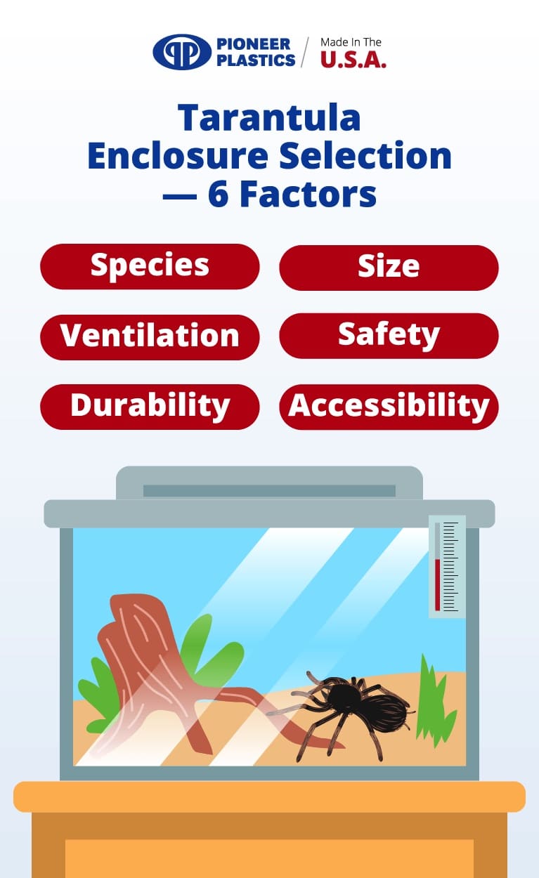 Choosing the Perfect Tarantula Enclosure—6 Considerations
