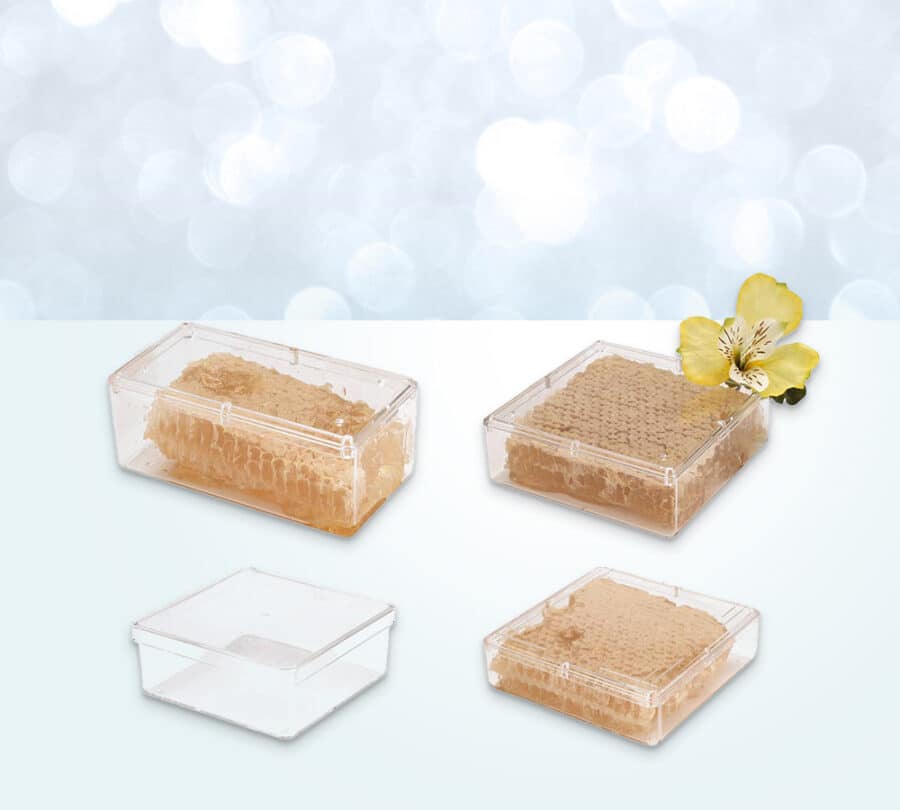 Pioneer Plastics' Clear Containers for Food Packaging & Display